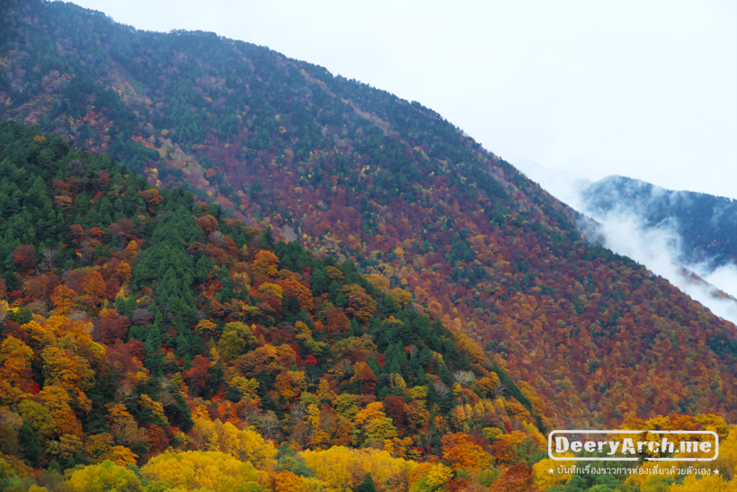 เที่ยวญี่ปุ่น ใบไม้เปลี่ยนสี (4) เส้นทาง Tateyama-Kurobe Alpine Route